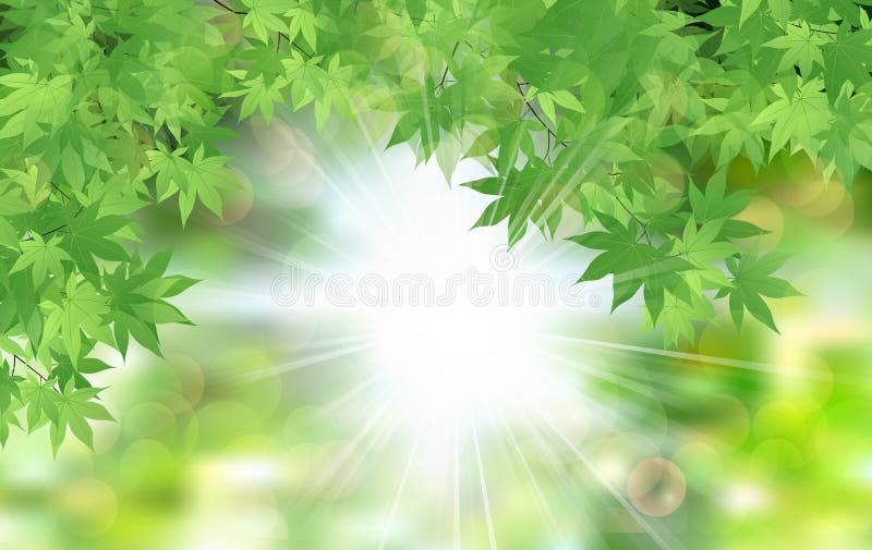 Summer Fresh Leaf Green Leaves with Sun Rays Stock Vector ...