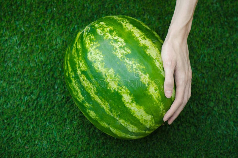 Summer and Fresh Watermelon Topic: Human Hand Touching a Watermelon on ...