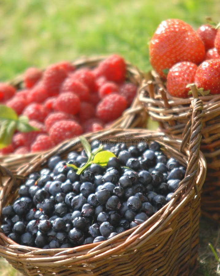 Summer fruit salad stock image. Image of fruit, berries - 30229229