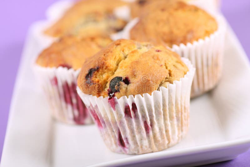 Summer fruit muffins stock image. Image of plate, baking - 16245639