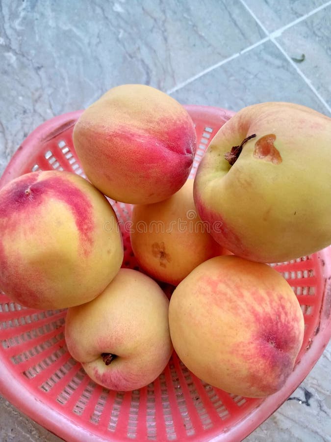 Summer fruit peech stock photo. Image of fresh, peech - 182000336