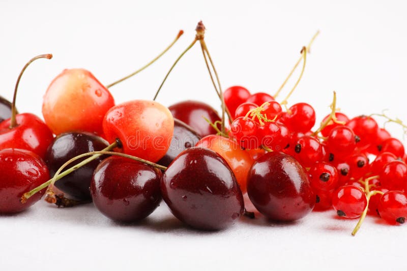 Summer fruits stock image. Image of nature, eating, collection - 13109763