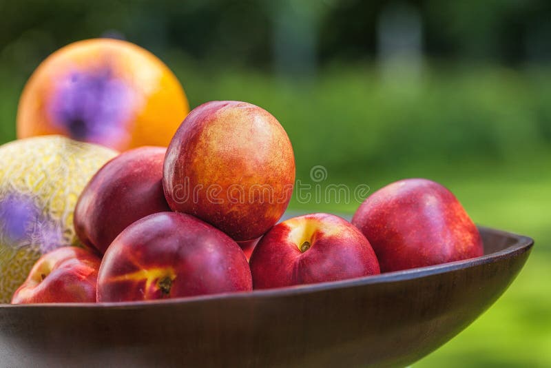 Summer fruits stock photo. Image of bowl, healthy, mellow - 39679746