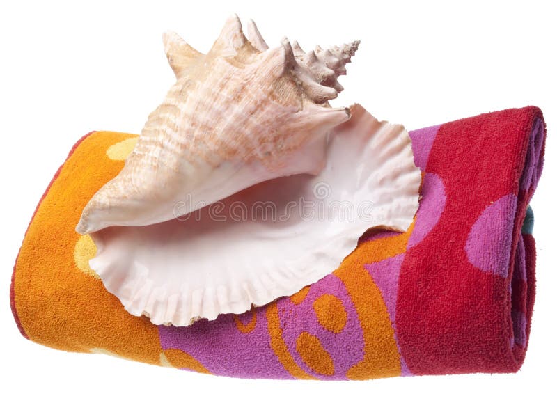 Summer Fun stock image. Image of clipping, shell, conch - 14530117