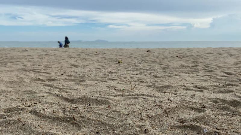 Summer Fun Exploring the Seaside on a Family Beach Walk Stock Video ...