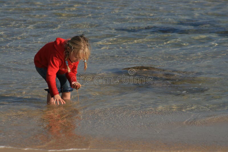 Summer fun time stock photo. Image of happiness, future - 5694174
