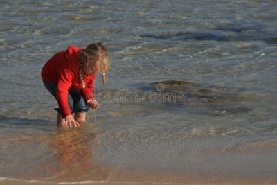 Summer fun time stock photo. Image of happiness, future - 5694174