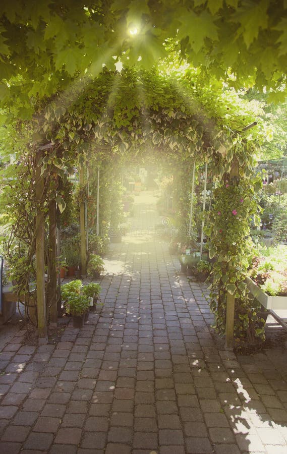 Garden Arch Over a Stone Path Stock Image - Image of path, stone: 122835855