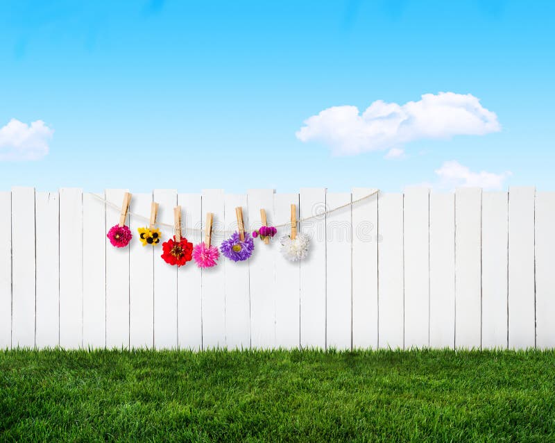 73,467 Summer Backyard Background Stock Photos - Free & Royalty-Free ...