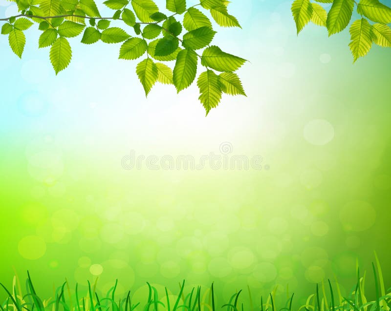 Summer Planks Stock Illustrations – 1,433 Summer Planks Stock ...