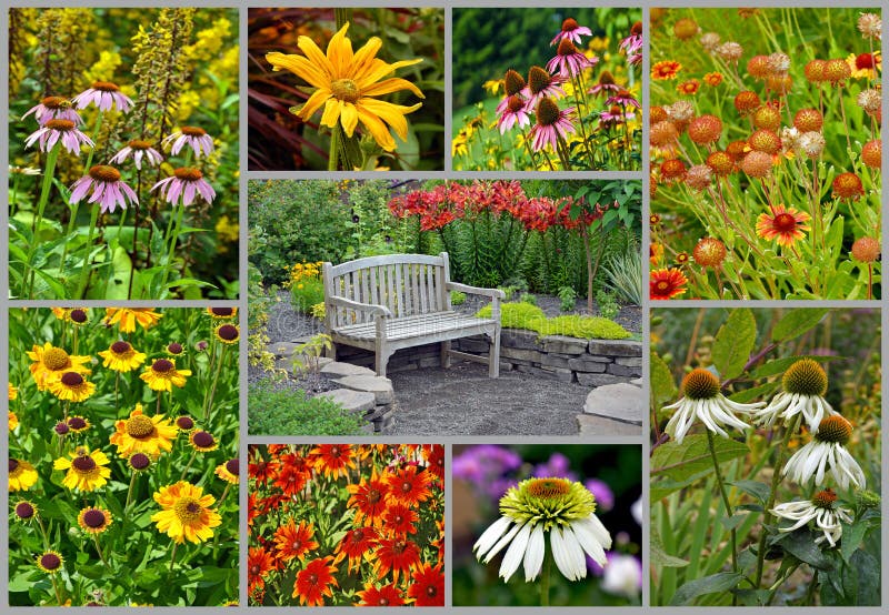 Summer garden collage stock image. Image of garden, summer - 27742917