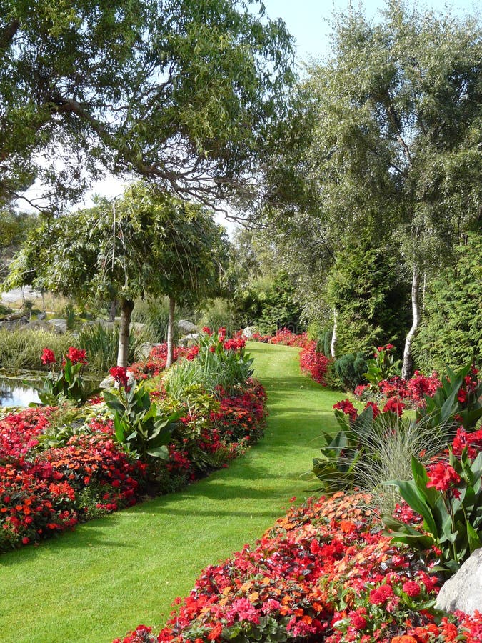Summer garden stock image. Image of flower, trees, pink - 36350171