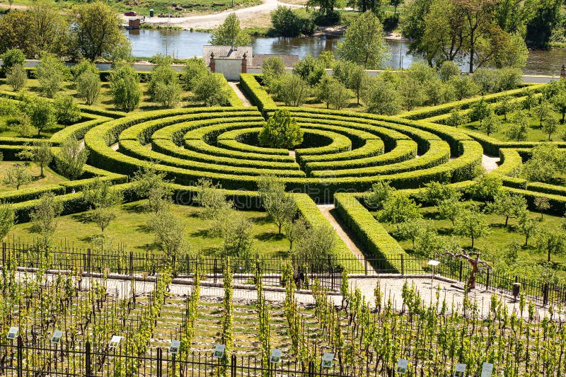Summer garden green maze stock photo. Image of asia - 183975732