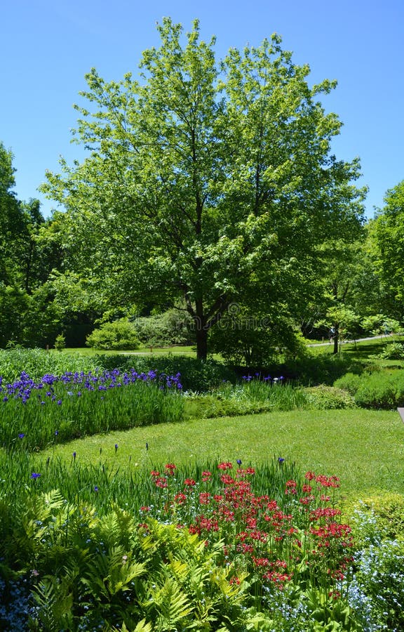 Summer Garden Landscape Montreal Stock Image - Image of agriculture ...