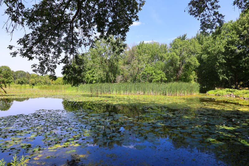 Summer Garden Landscape Province of Quebec Stock Image - Image of lawn ...