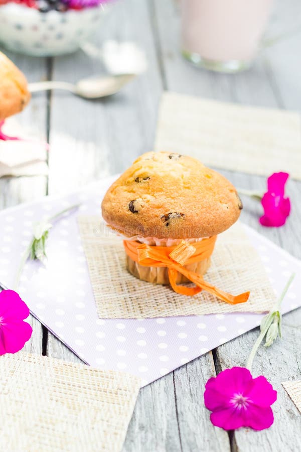 Summer Garden Muffins Fruit Cocktail Stock Image - Image of diet, food ...