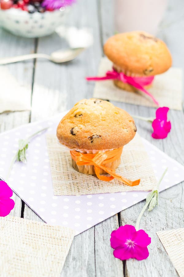 Summer Garden Muffins Fruit Cocktail Stock Photo - Image of dish ...