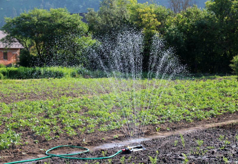 The Irrigation System is in Operation Stock Photo - Image of landscape ...