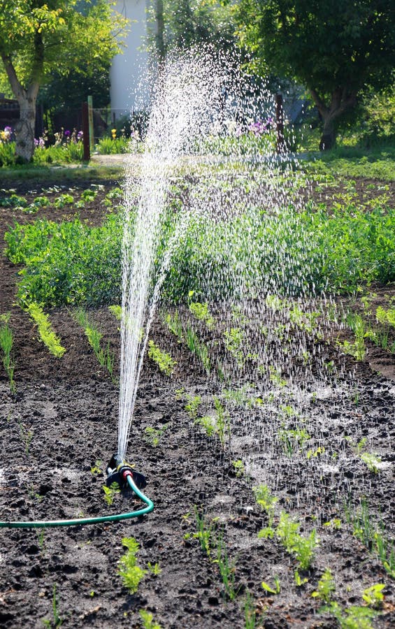 The Irrigation System is in Operation Stock Image - Image of ...