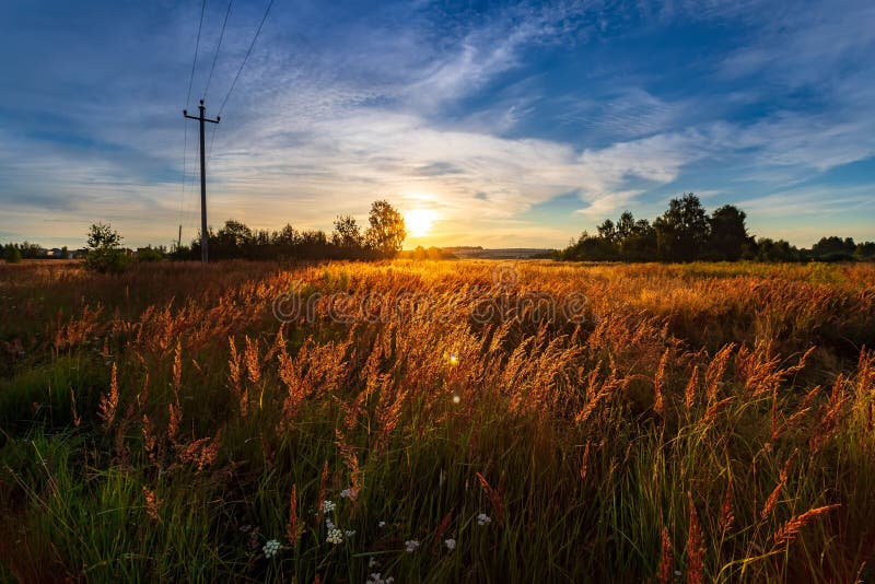 Summer Golden Sunny Sunrise in the Field Stock Photo - Image of spring ...
