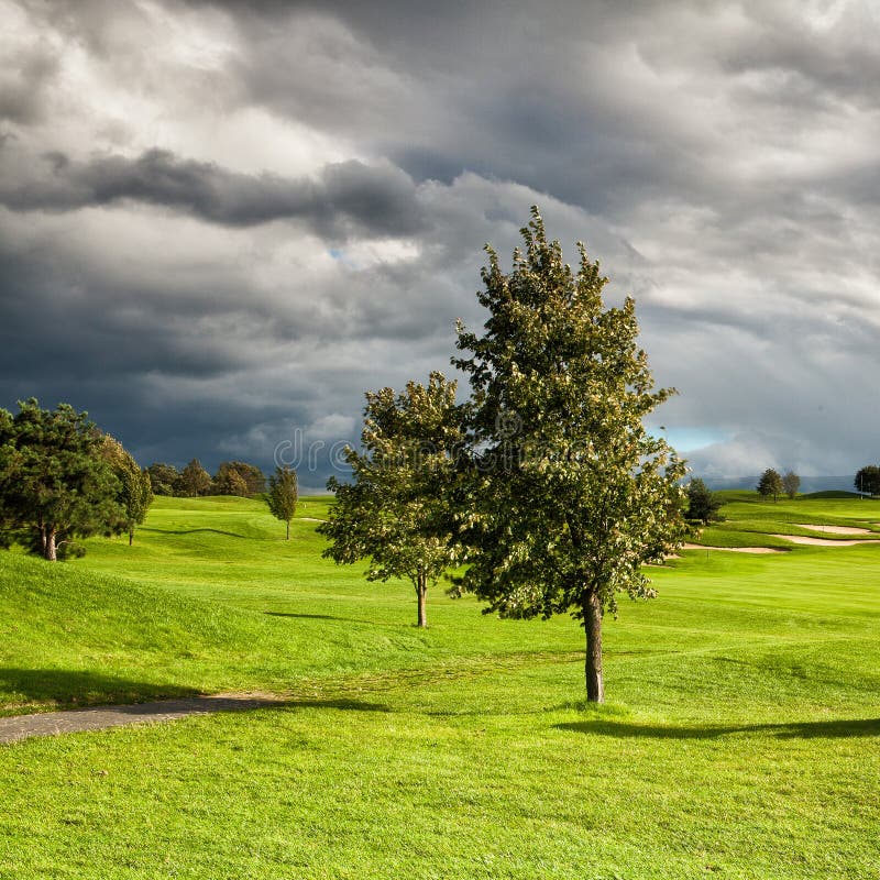 Summer Golf Course at Sunset Stock Image - Image of hobby, cart: 33821349