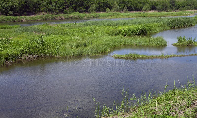 In Summer, Grass Grows on Both Sides of the River Stock Image - Image ...