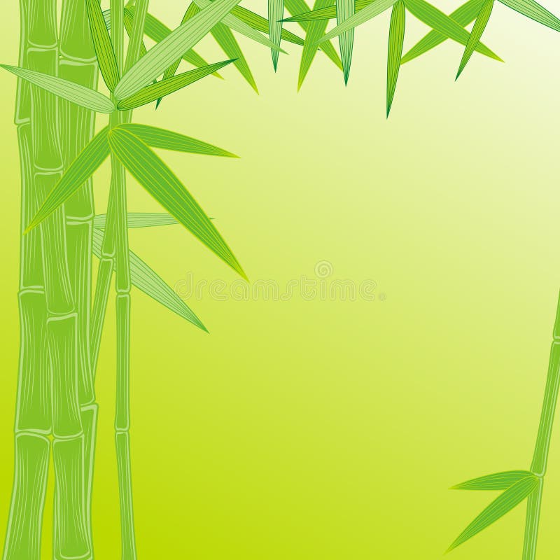 Summer green bamboo frame stock vector. Illustration of green - 21641827
