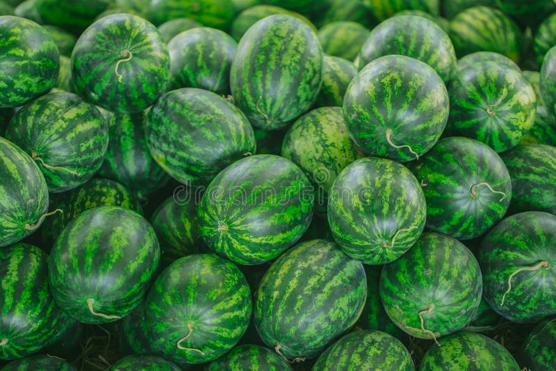 1,362 Watermelon Stack Stock Photos - Free & Royalty-Free Stock Photos ...
