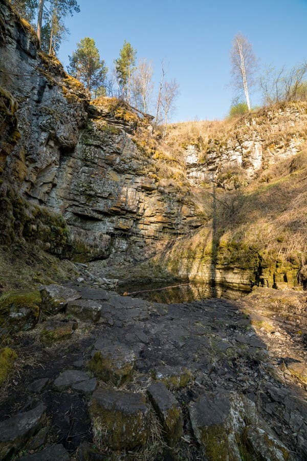 A Summer Green Sunny Forest with Many Rocks on the Ground Stock Image ...