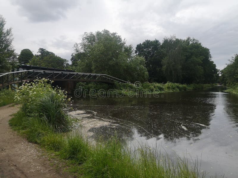 Summer Greenery Along the River Stock Image - Image of green, summer ...