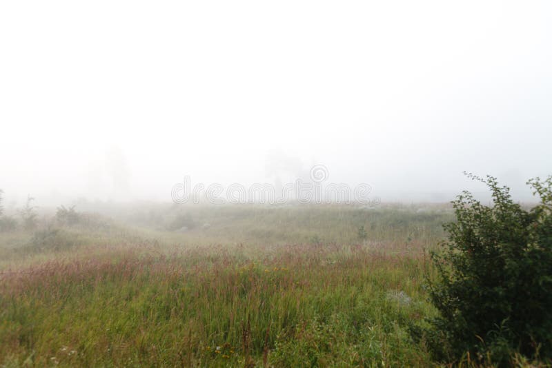 Ground with morning mist stock image. Image of countryside - 98688177