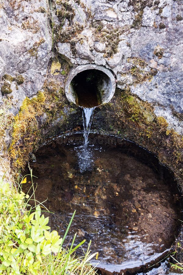 Groundwater Flowing from a Concrete Pipe in Summer Stock Photo - Image ...