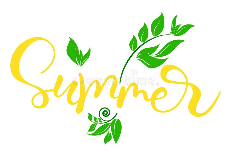Summer Hand Lettering Modern Calligraphy Text Stock Vector ...