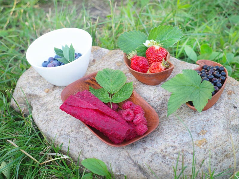 Summer Harvest of Berries from Your Garden Stock Photo - Image of ...