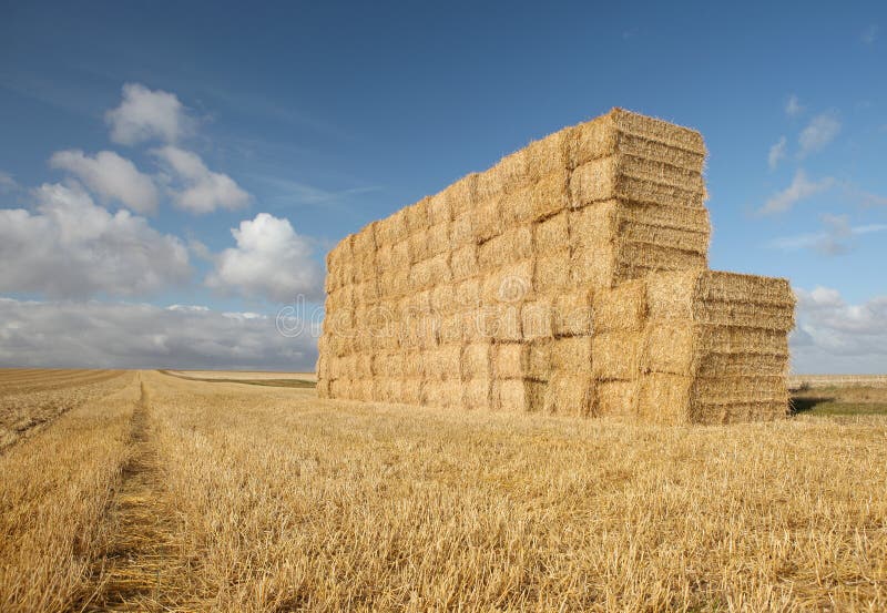 1,106 Square Haystack Stock Photos - Free & Royalty-Free Stock Photos ...