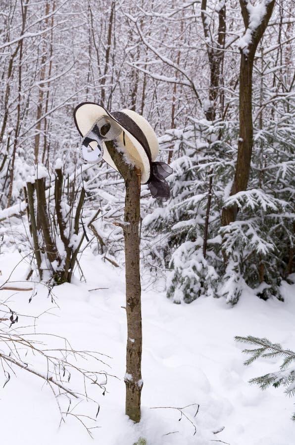 Summer Hat and Eye Mask in a Winter Forest Stock Photo - Image of ...