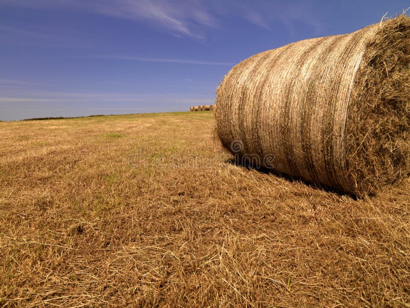 Summer hay bales stock image. Image of farming, harvest - 12474085