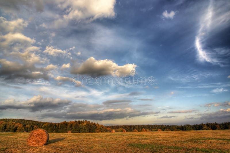 Summer - haymaking time stock photo. Image of season - 11599548