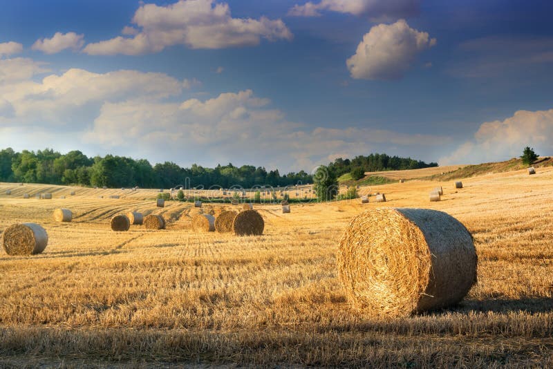 3 Haystacks Hill Stock Photos - Free & Royalty-Free Stock Photos from ...