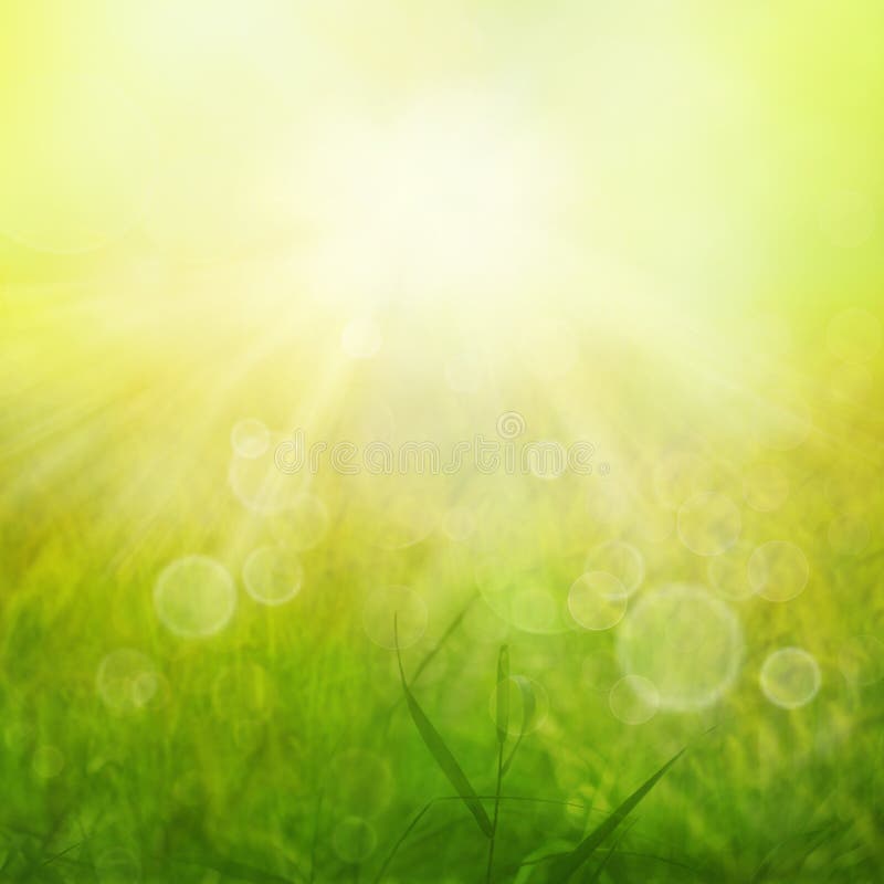 Summer heat stock image. Image of lush, garden, colorful - 20653621