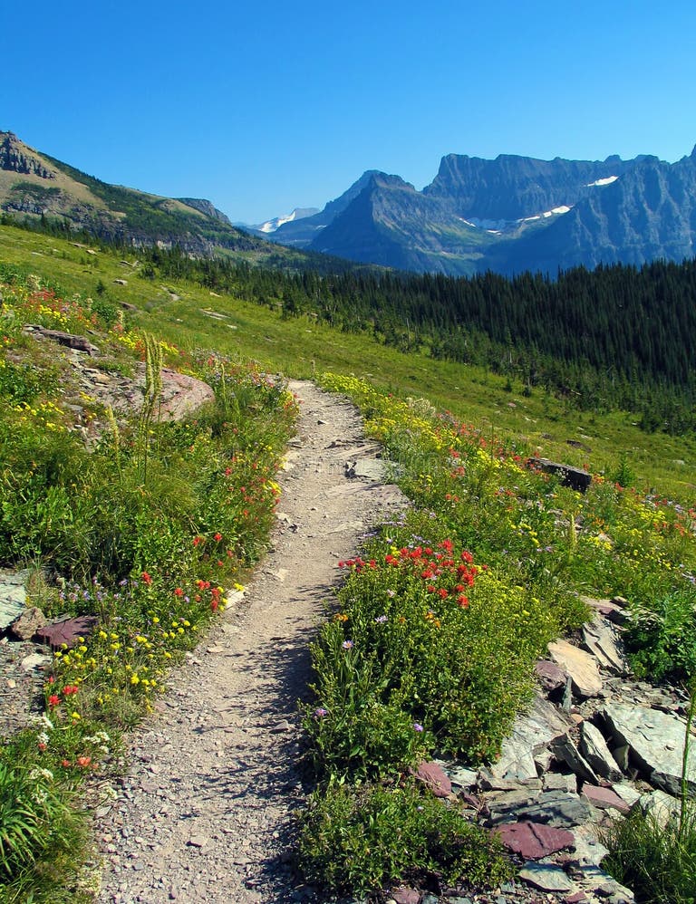 4,764 Highline Painter Stock Photos - Free & Royalty-Free Stock Photos ...