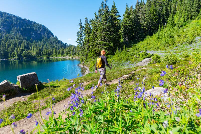Summer hike stock photo. Image of path, meadow, trail - 169146256