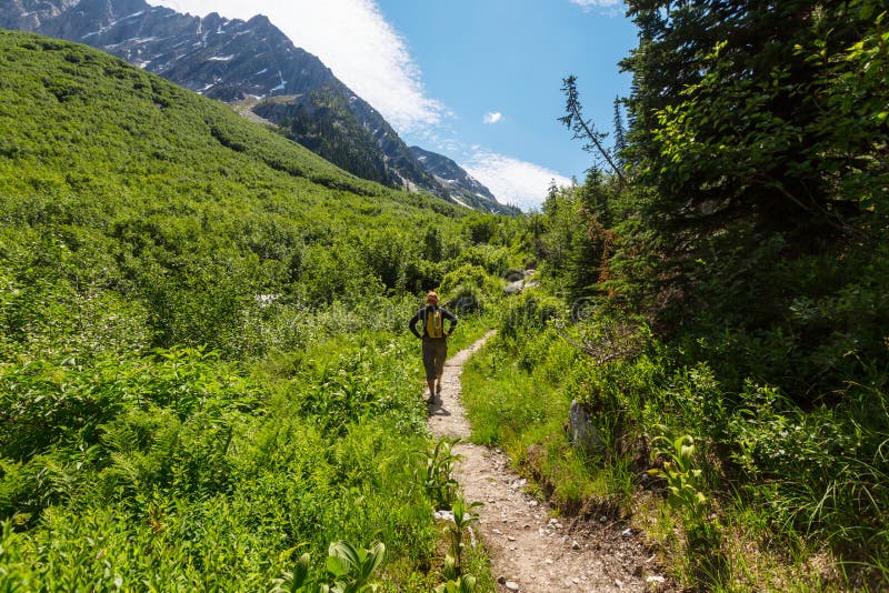Summer hike stock photo. Image of summer, hike, active - 195236350