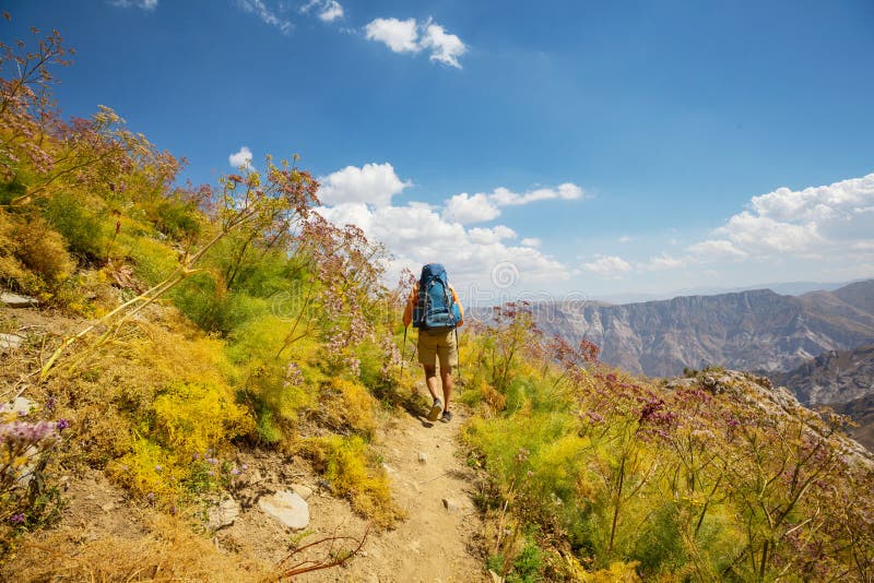 Summer hike stock photo. Image of hiker, active, summer - 167047022