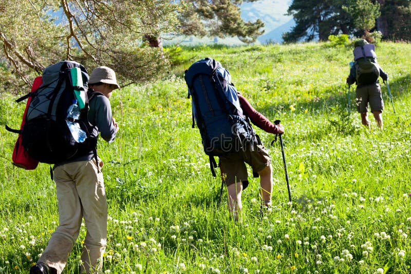 Summer hike stock image. Image of nature, trek, group - 54191233