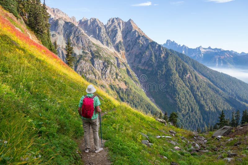 Summer hike stock photo. Image of outdoor, trek, view - 259614850