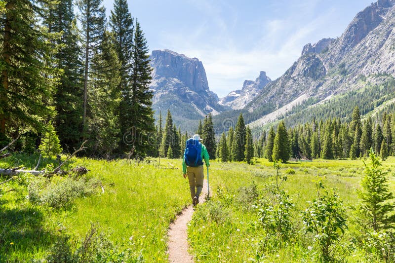 Summer hike stock image. Image of meadow, trail, nature - 279396635