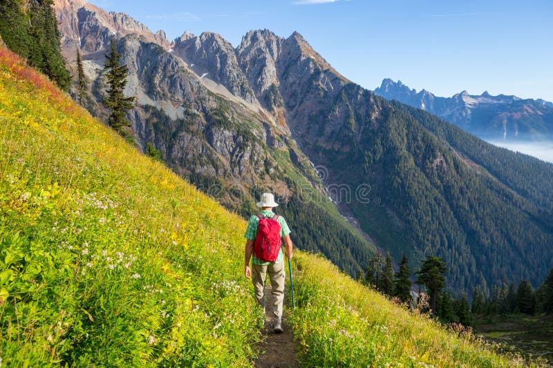 Summer hike stock photo. Image of summer, backpack, trail - 290029872