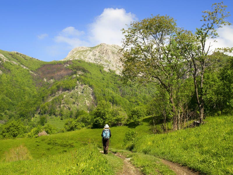 Summer Hike in the Cerna Mountains Stock Photo - Image of grass ...