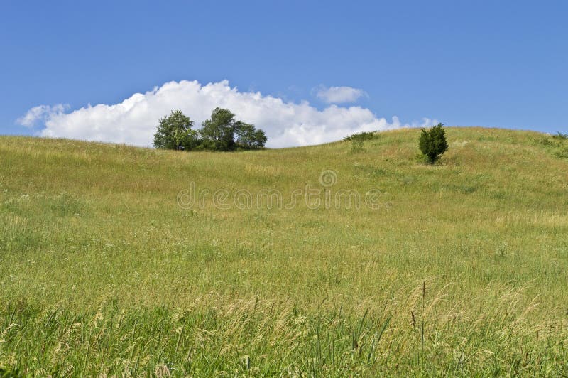 Summer Hill stock image. Image of meadow, clouds, grass - 25440833